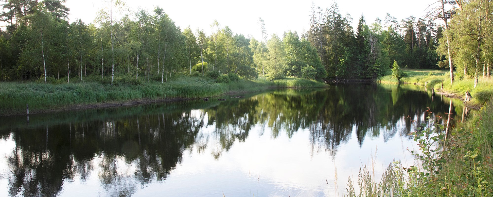 Laatu ja ympäristö – Weland Oy
